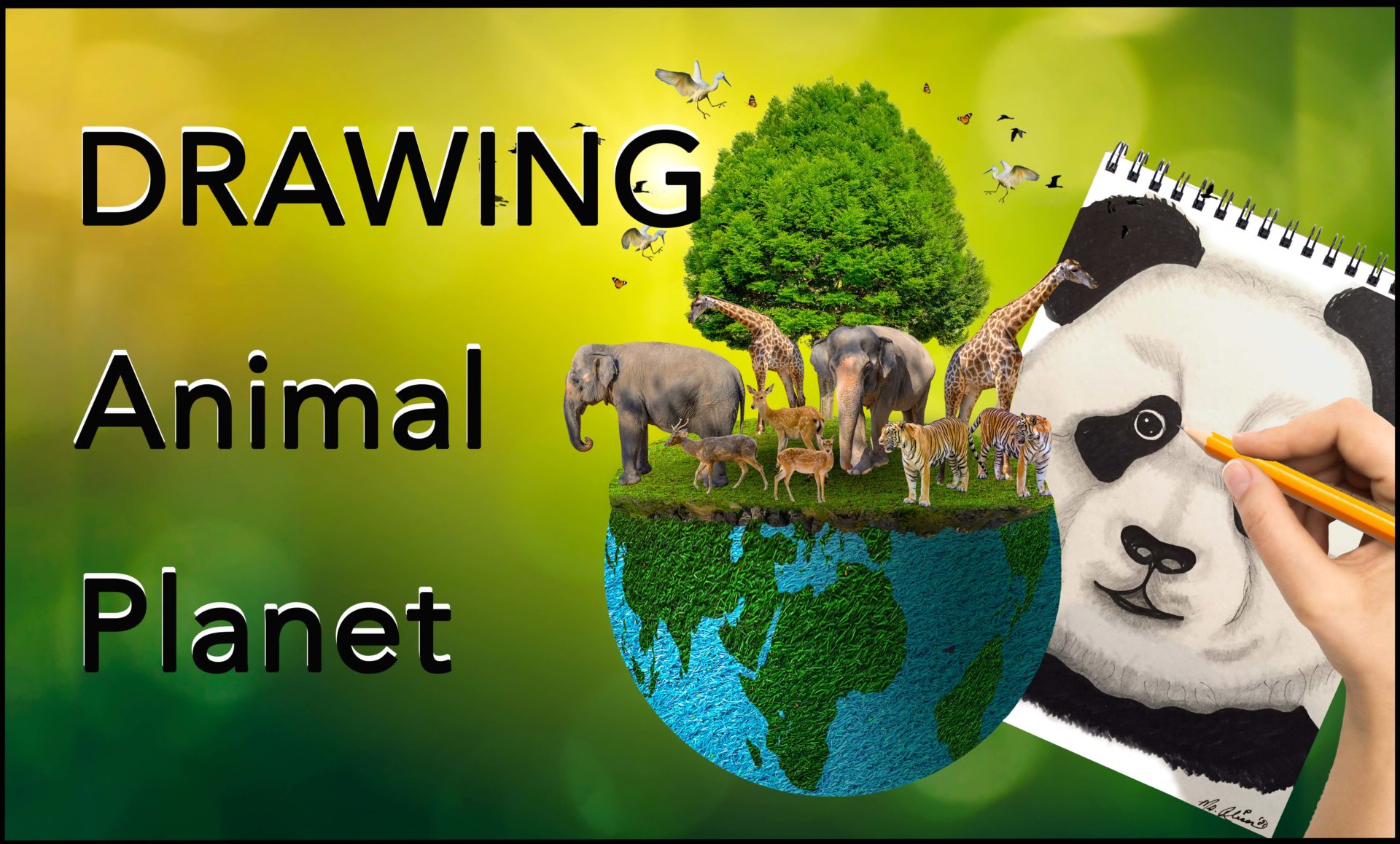 Youth Summer Camps - Camps and Special Programs