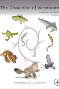 Welcome - Ellender Memorial Library